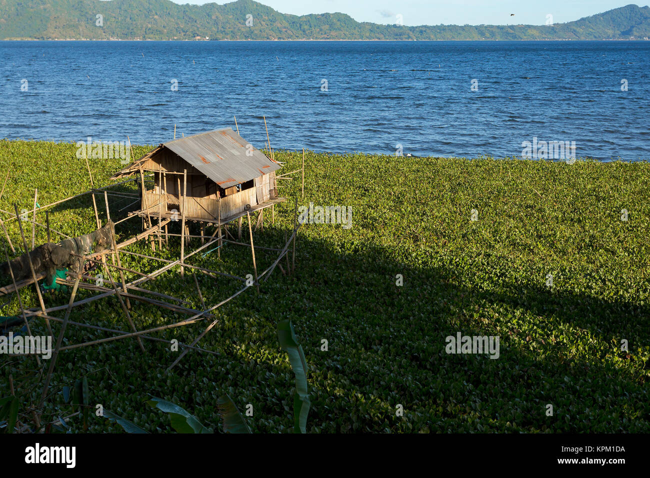 Fish farm at Lake Tondano Stock Photo - Alamy