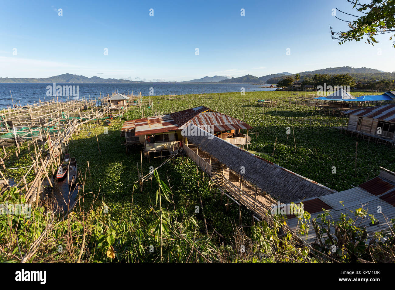 Fish farm at Lake Tondano Stock Photo - Alamy