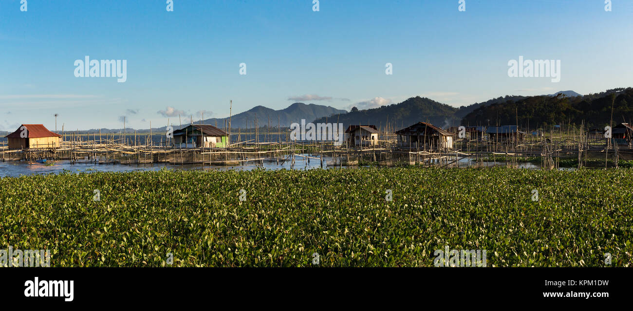 Fish farm at Lake Tondano Stock Photo - Alamy