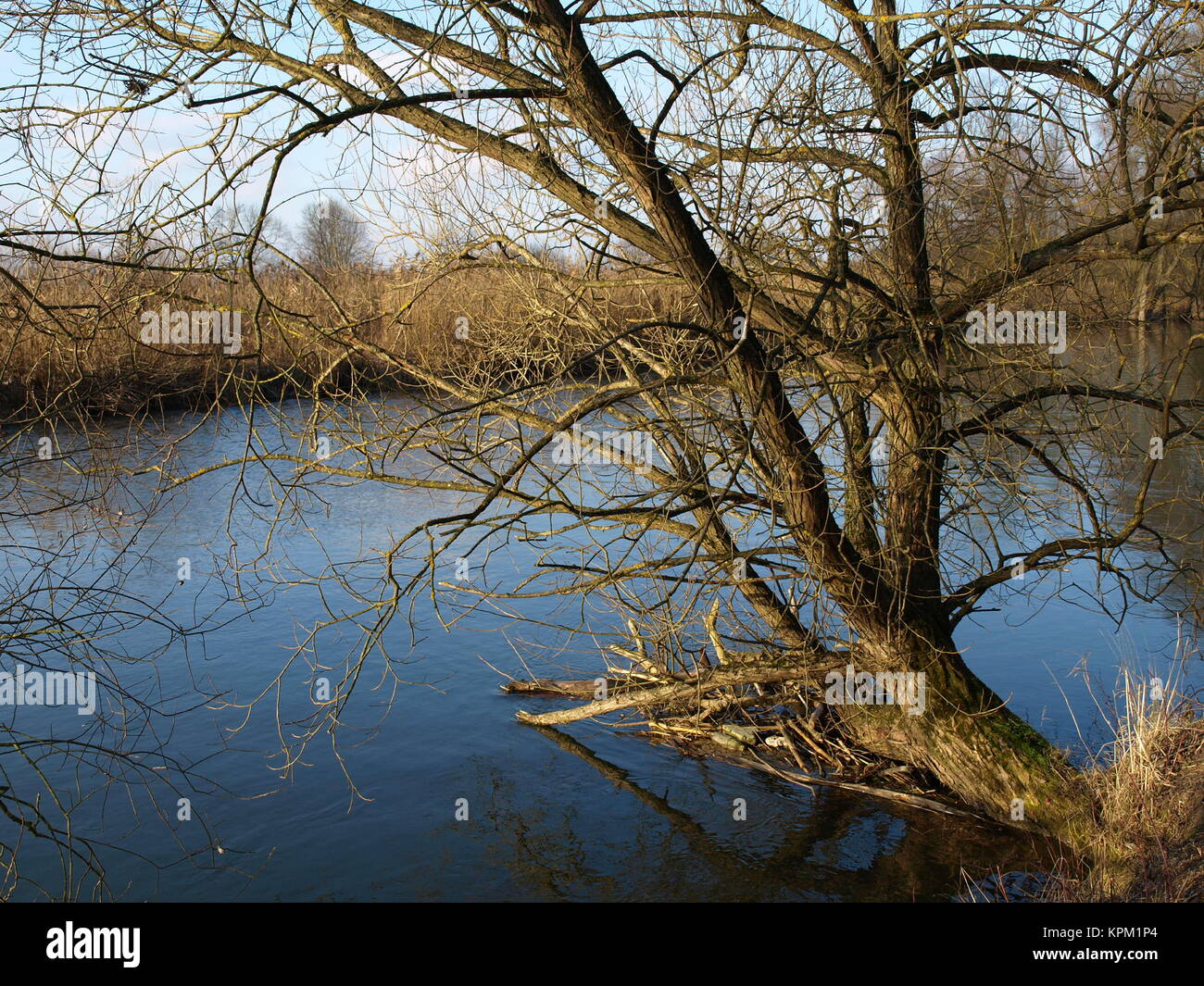 Amper river hi-res stock photography and images - Alamy