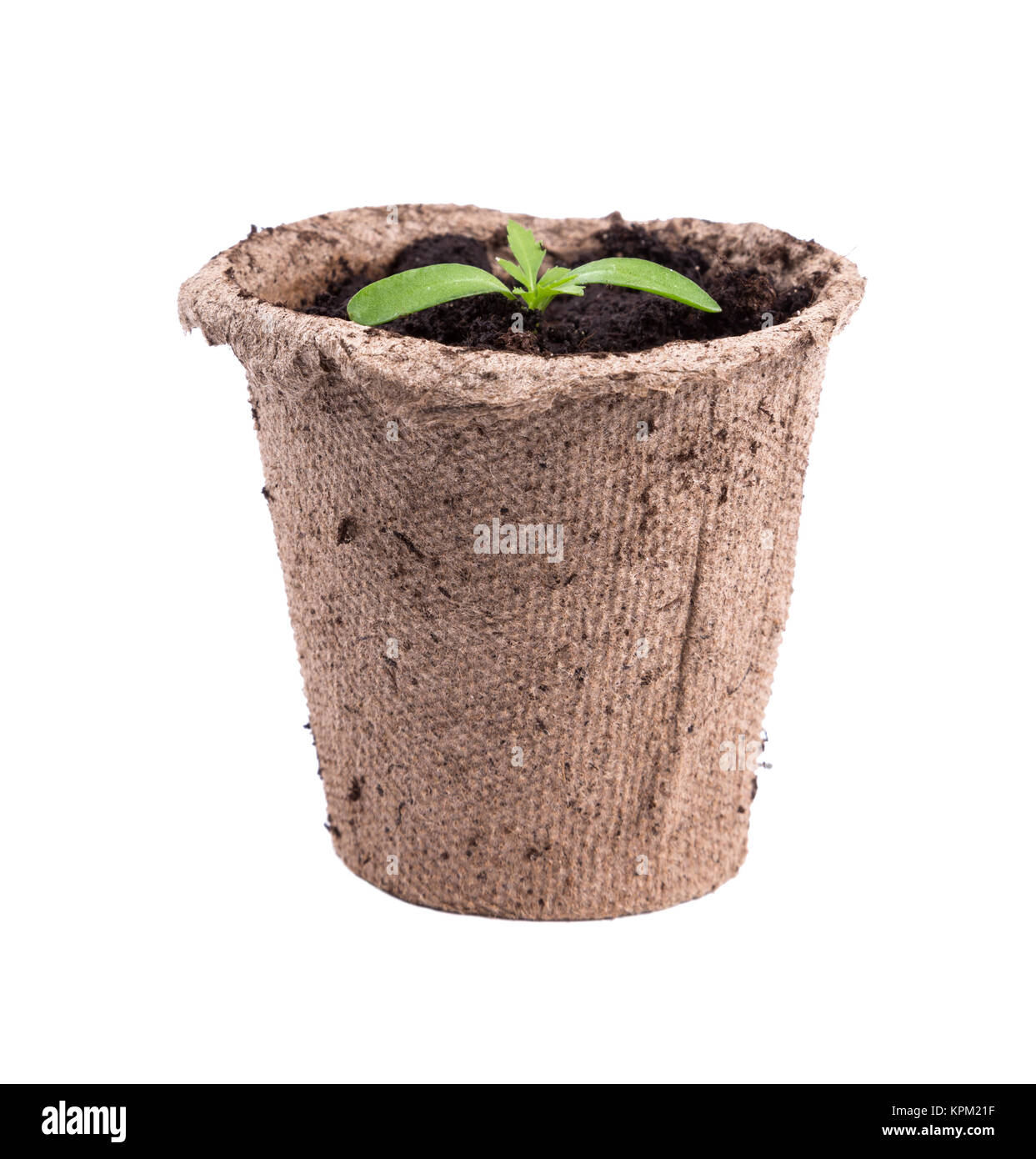 Round flower pots hi-res stock photography and images - Alamy