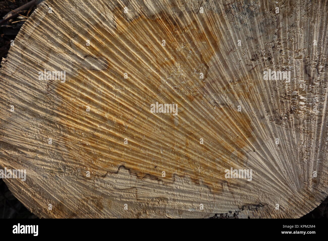 Off call hi-res stock photography and images - Alamy