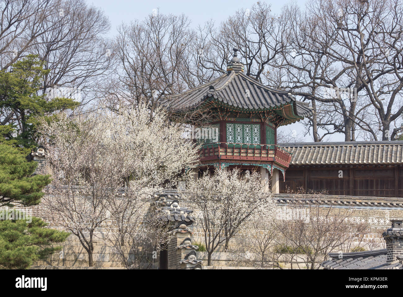 traditional korean pavilion in spring Stock Photo - Alamy