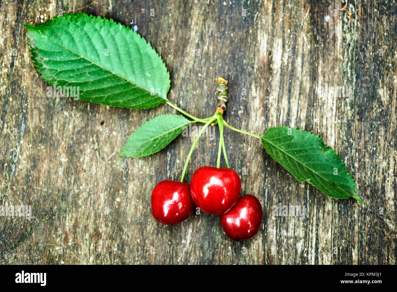 Cherries in the evening light Stock Photo - Alamy