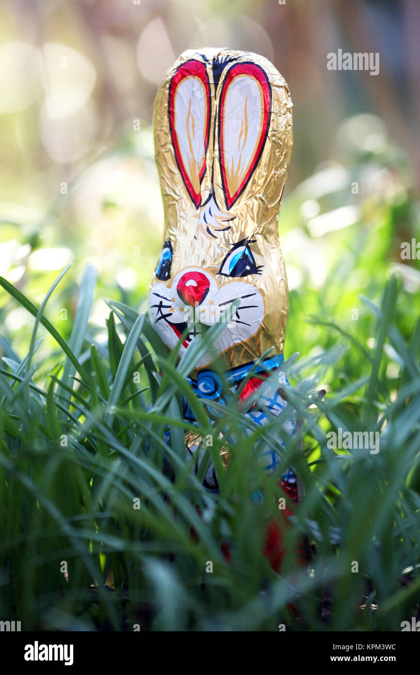 Easter bunny in the grass at Easter in the garden in an Easter nest ...