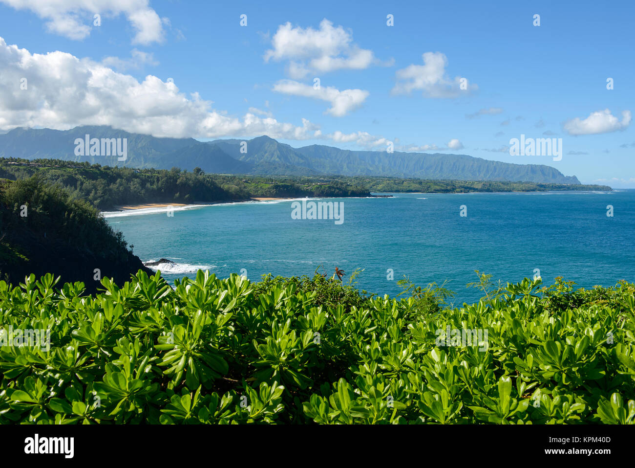 North Shore - Panoramic view of the north shore (from Kilauea Point to ...