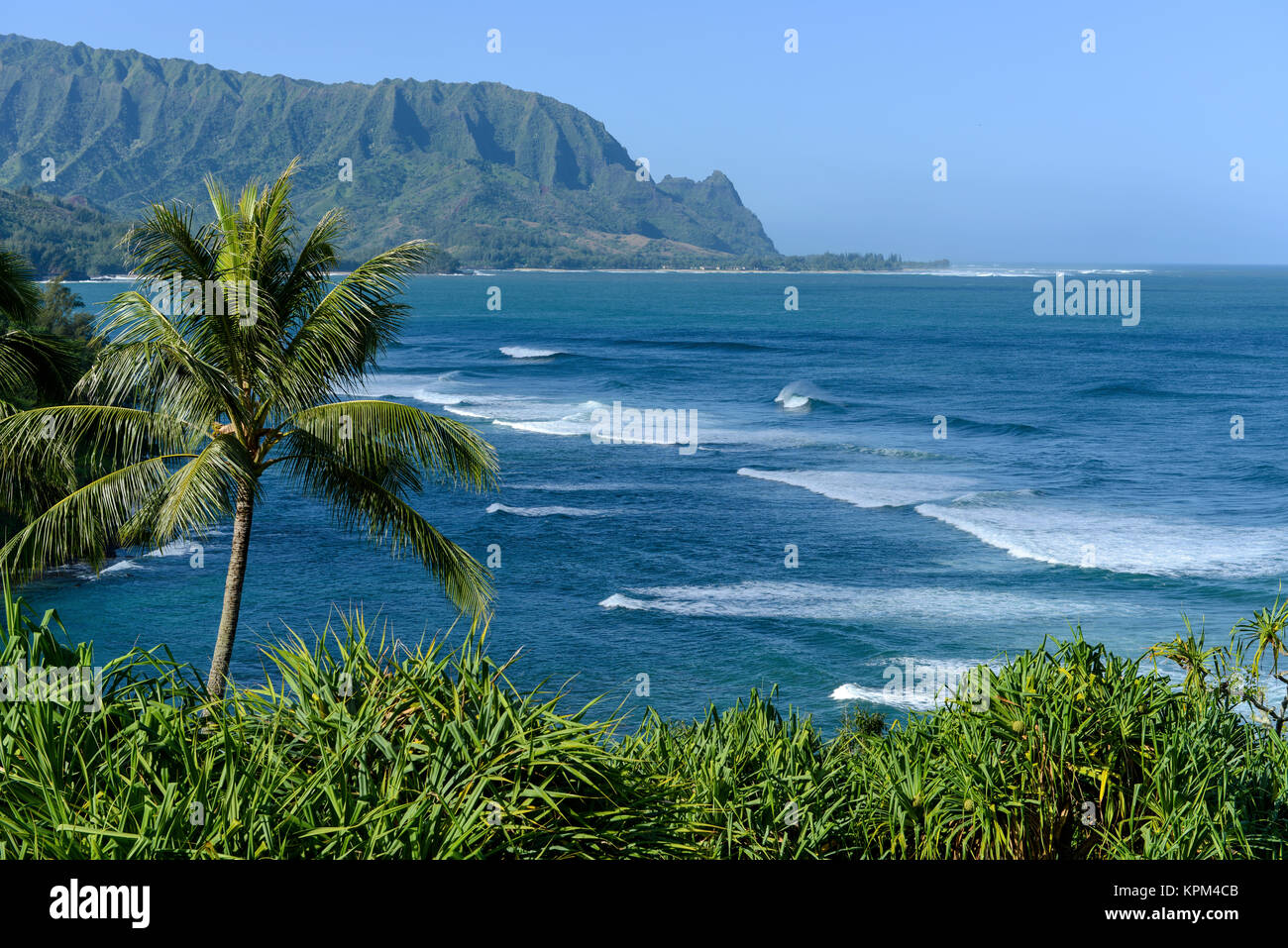 Tropical wave pattern hi-res stock photography and images - Alamy