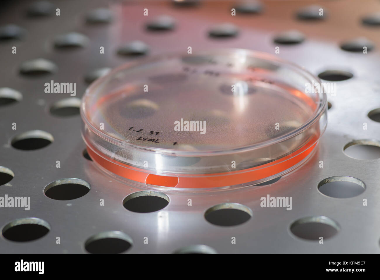 Biological cultures in storage Stock Photo - Alamy