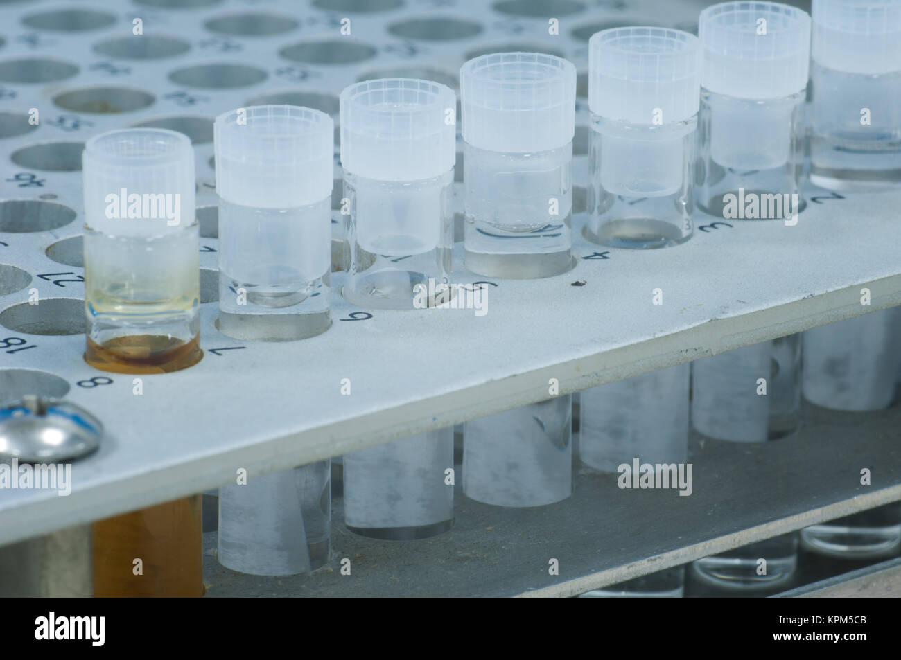 Sample Vials in Rack Stock Photo - Alamy