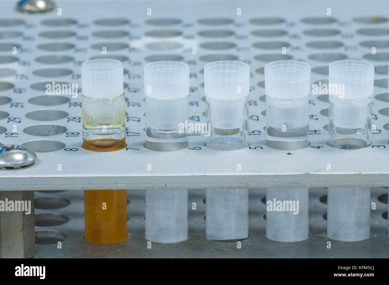 Sample Vials in Rack Stock Photo - Alamy