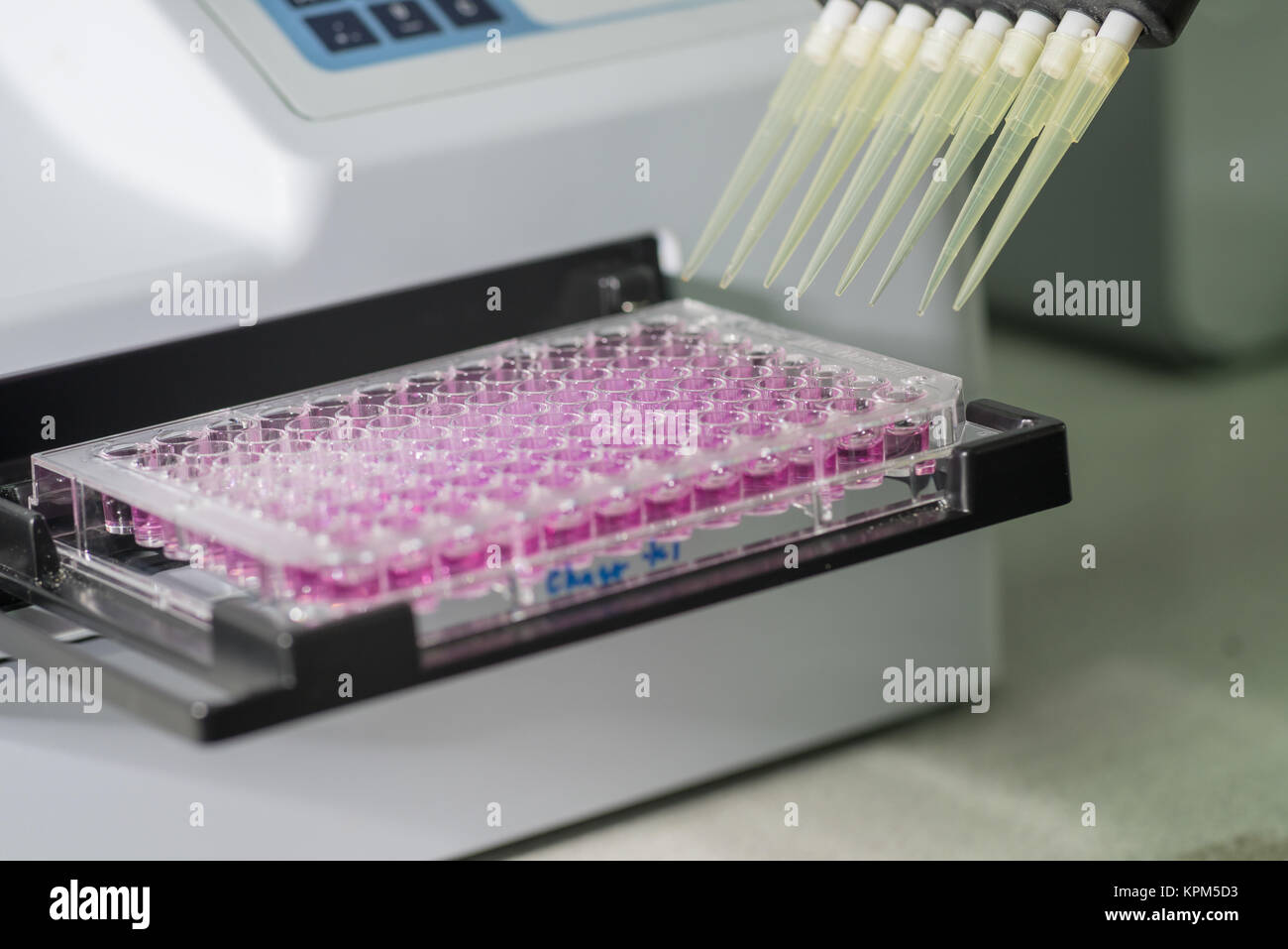 96 well plate hi-res stock photography and images - Alamy