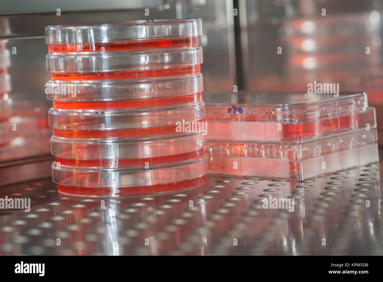 Biological cultures in storage Stock Photo - Alamy