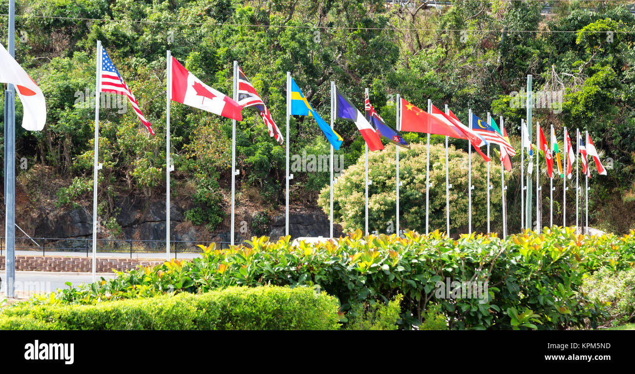 in australia lots of world flag in the park bear tree Stock Photo - Alamy