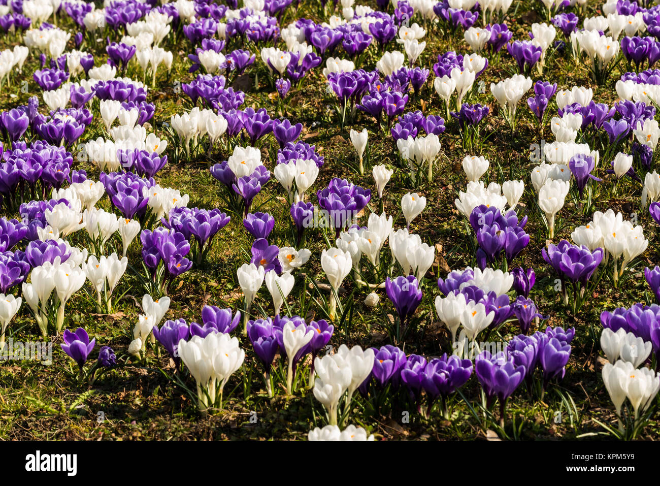 First ck hi-res stock photography and images - Alamy