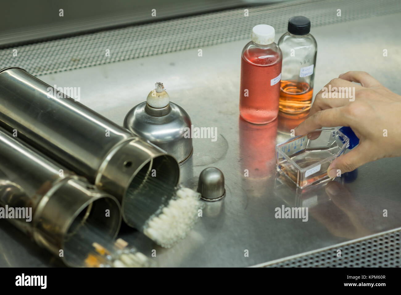 Cell culture laboratory hi-res stock photography and images - Alamy