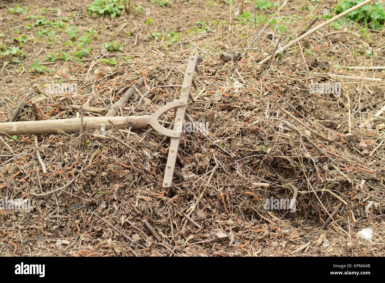 Rake in a pile of organic waste Stock Photo - Alamy
