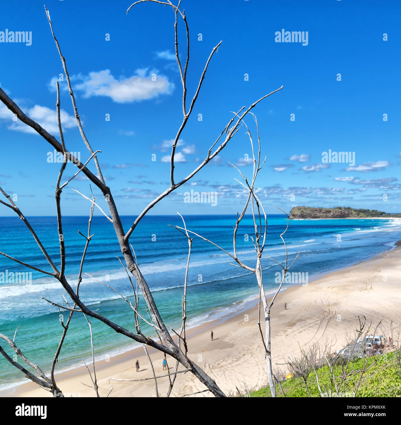 in australia fraser island the beach near the rocks in the wave of ...