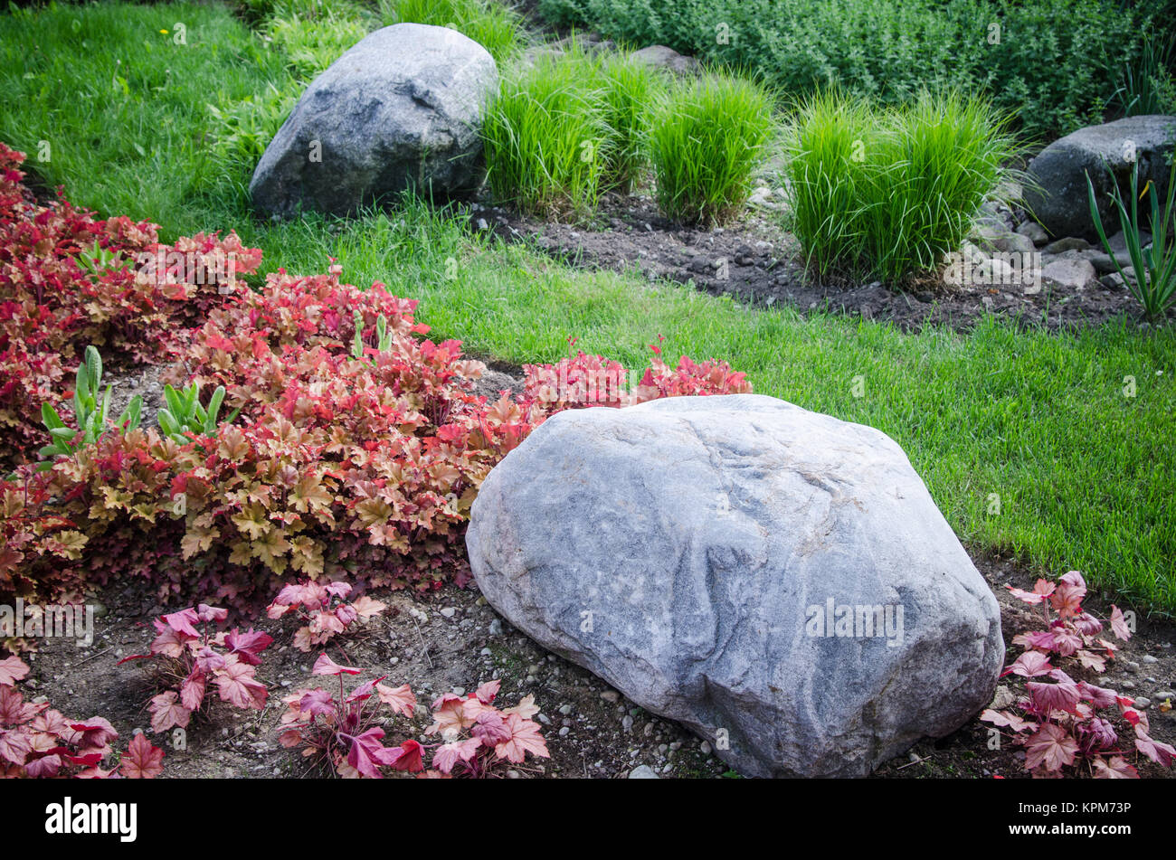 Decorative flower bed in a garden with rocks and plants, close-up Stock ...