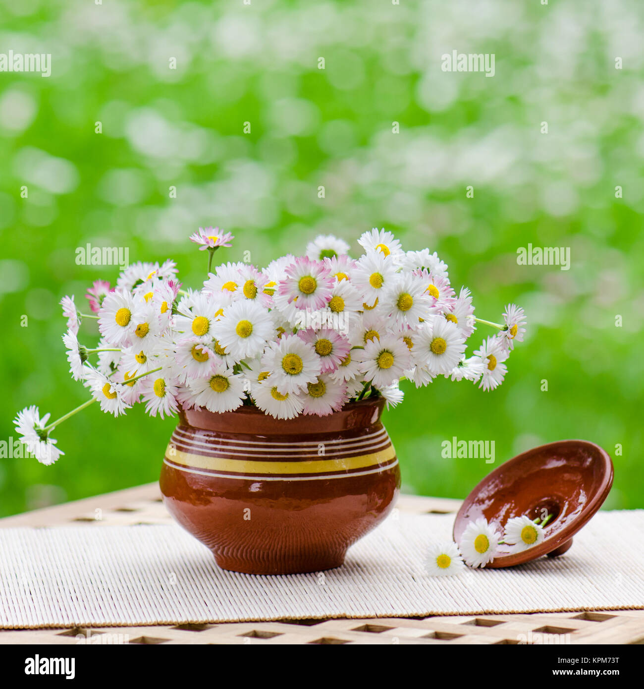 A bouquet of daisies in a pot at the table Stock Photo - Alamy