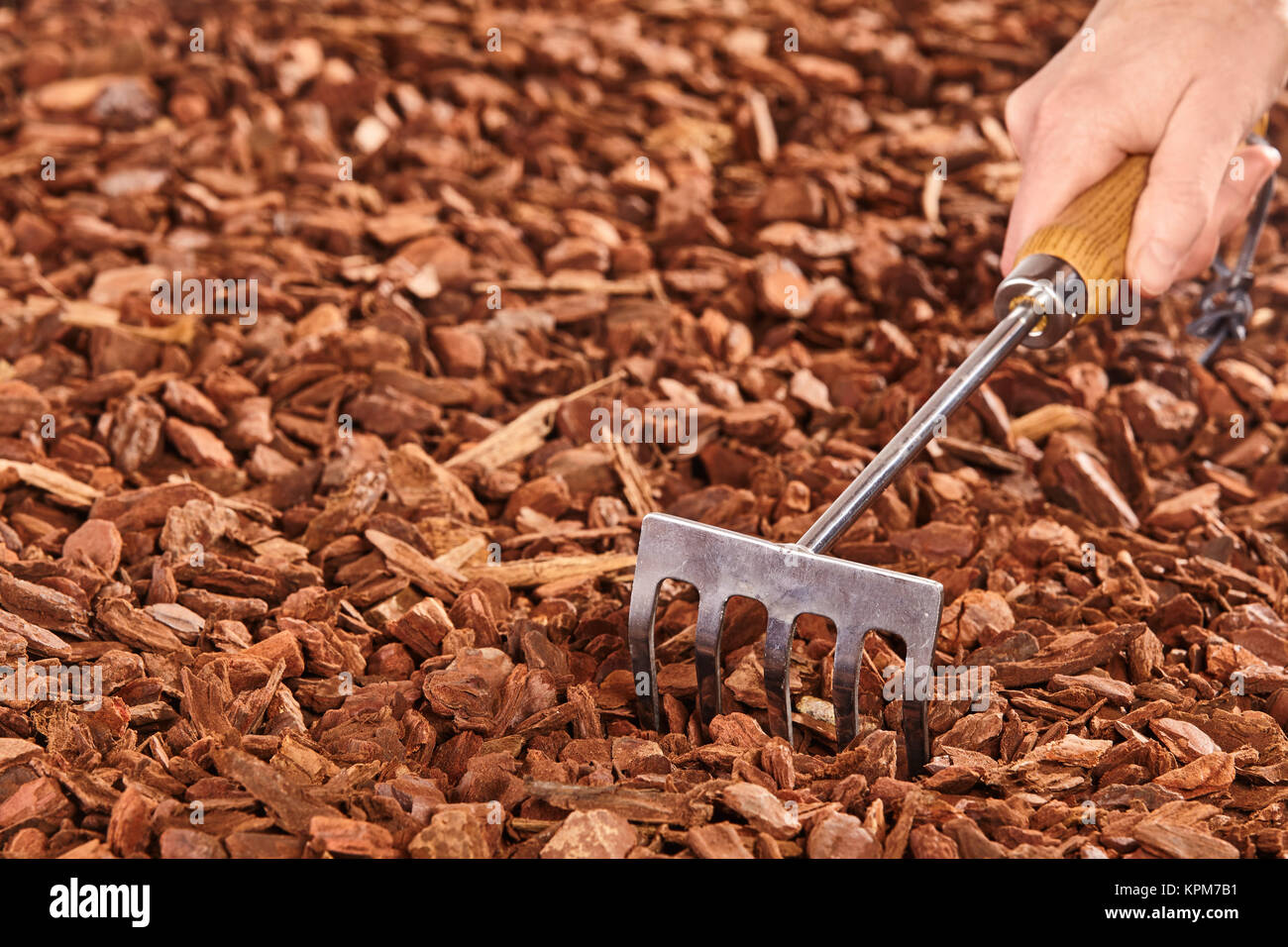 Close up of single hand rake used by unidentifiable person to spread ...