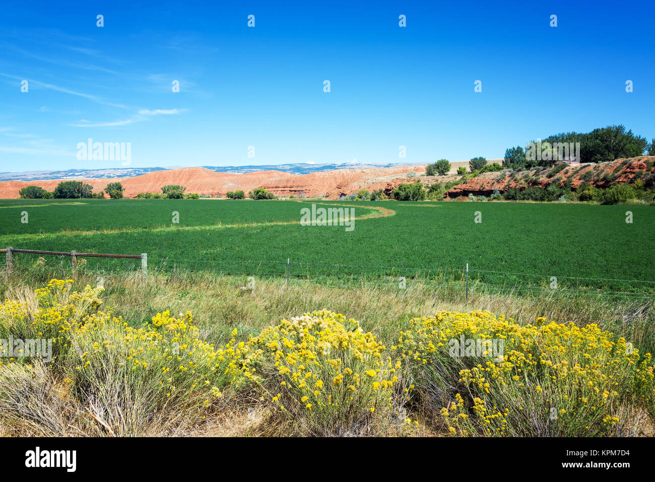 Green Fields and Red Hills Stock Photo - Alamy
