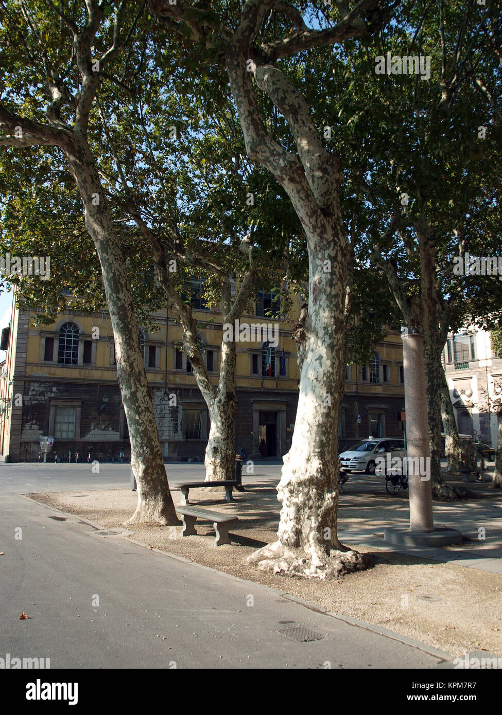 View of the Piazza Napoleone - Lucca, Tuscany Stock Photo - Alamy