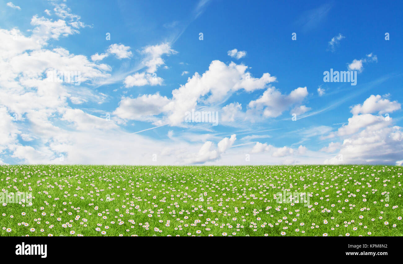 Green field and blue sky Stock Photo - Alamy