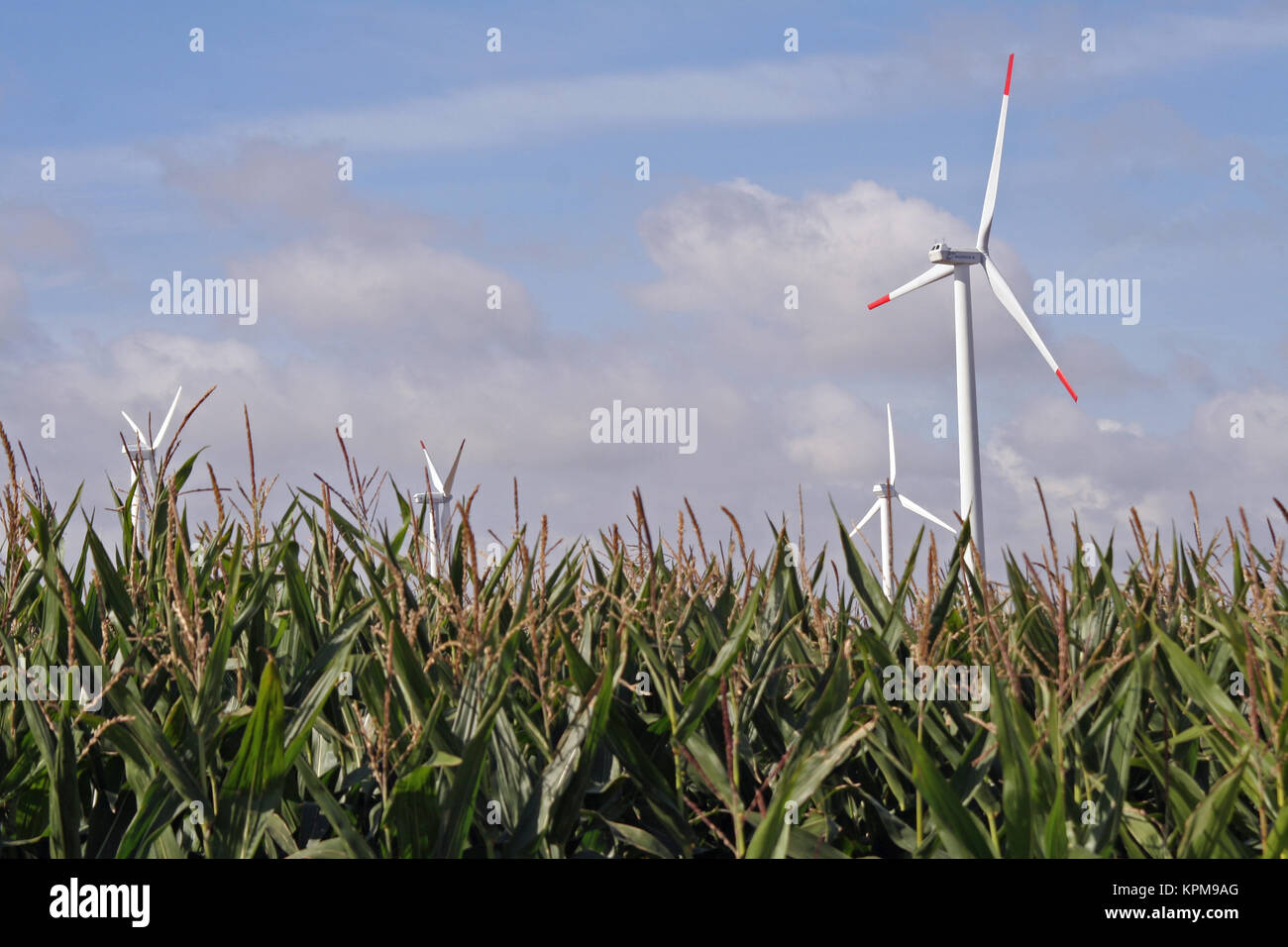 Farming and wind mills hi-res stock photography and images - Alamy