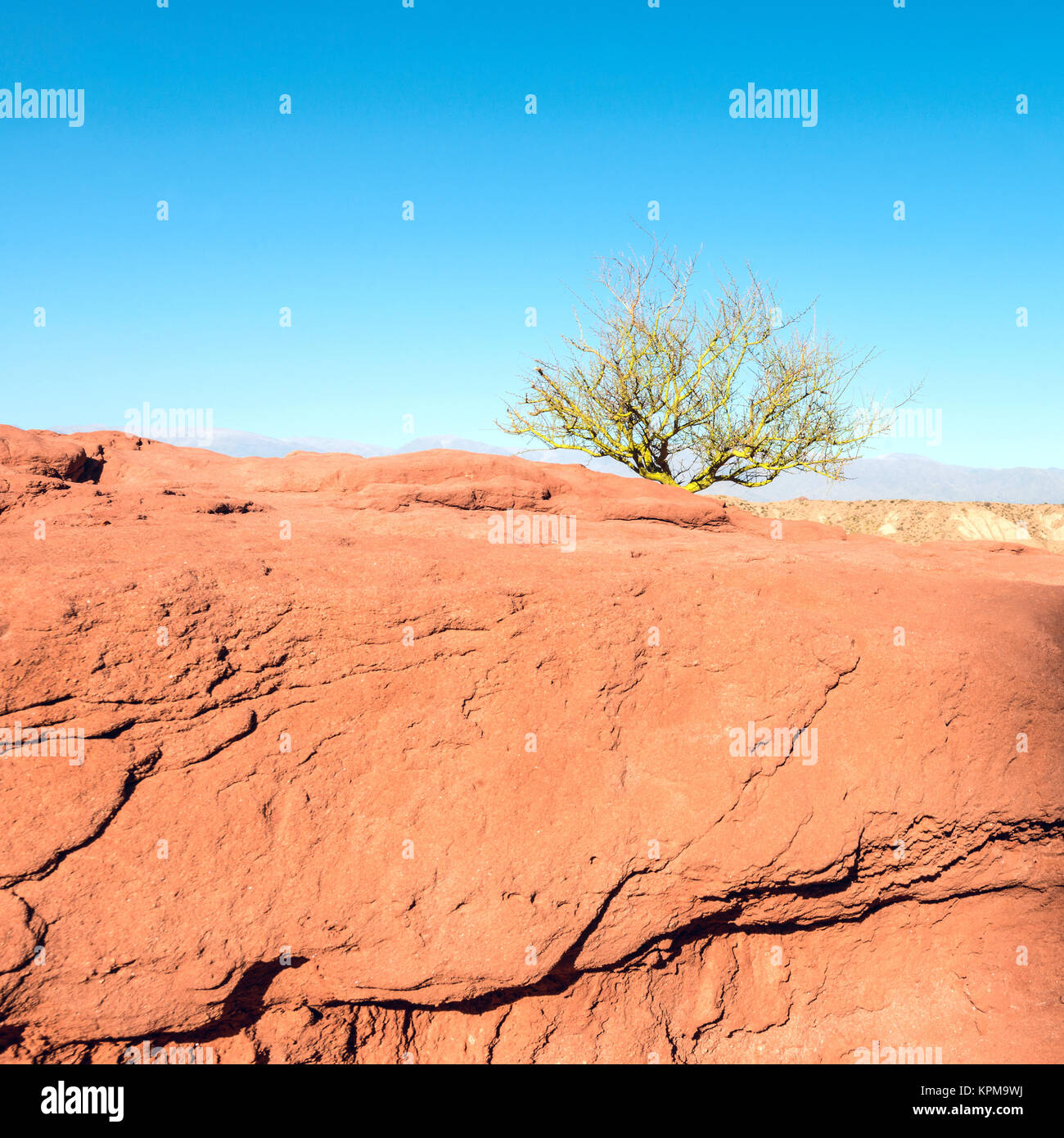 Desert wasteland attraction sandstone hi-res stock photography and ...