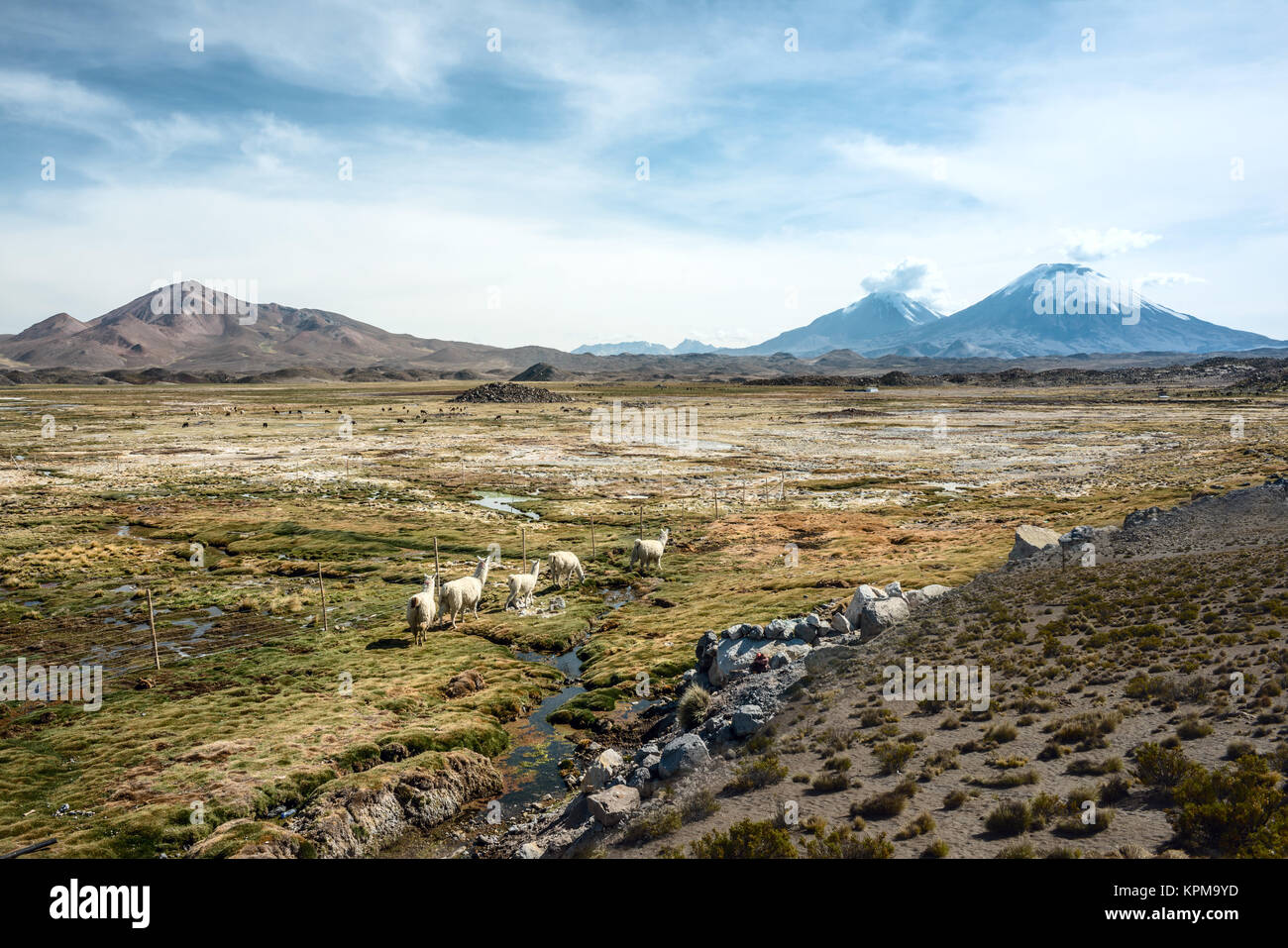Snow capped Parinacota Volcano, Lauca, Chile Stock Photo - Alamy
