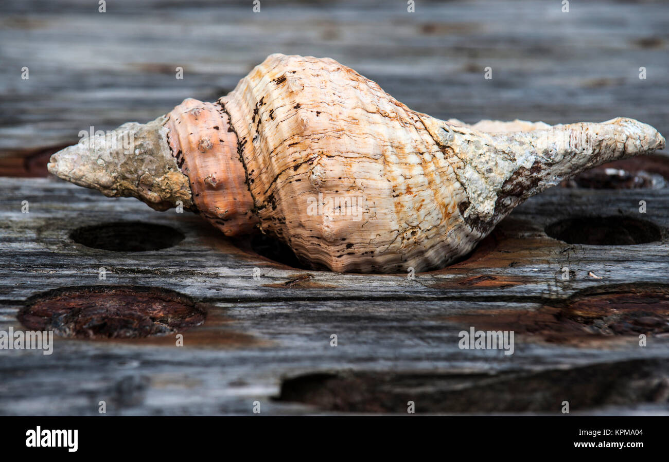 Salt water corrosion hi-res stock photography and images - Alamy