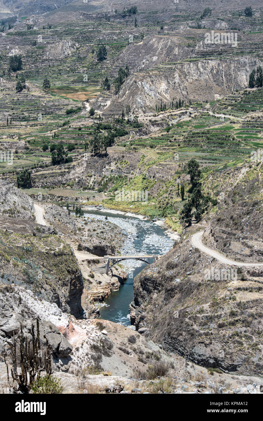 Canyon of the Colca River in southern Peru Stock Photo - Alamy