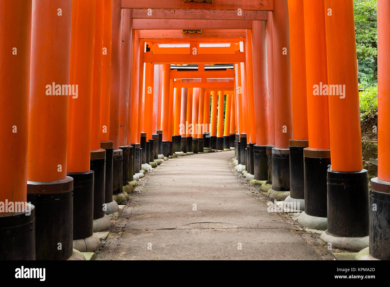 Torii of Inari Shrine Stock Photo - Alamy