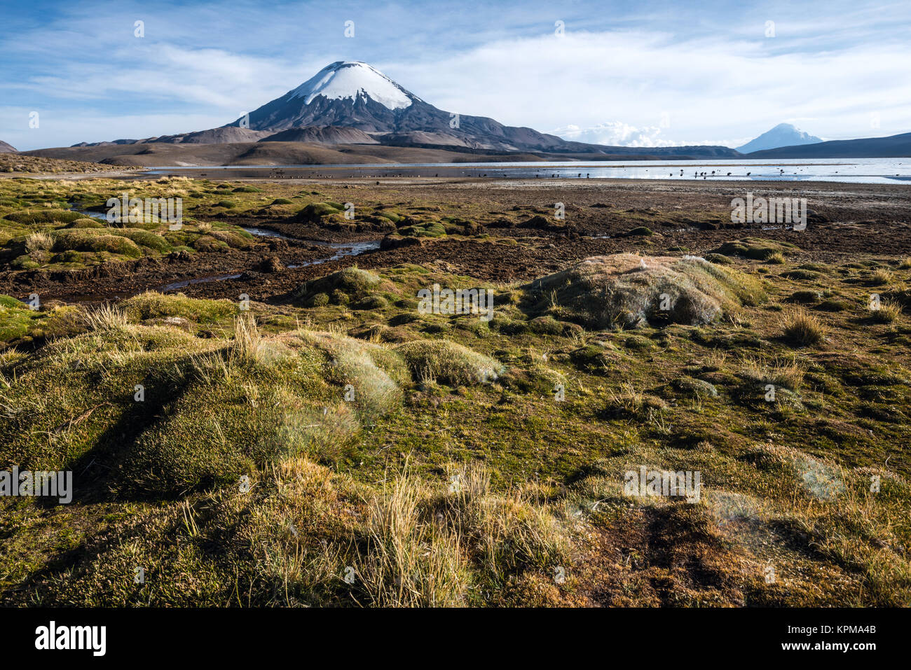 Snow capped Parinacota Volcano reflected in Lake Chungara, Chile Stock ...