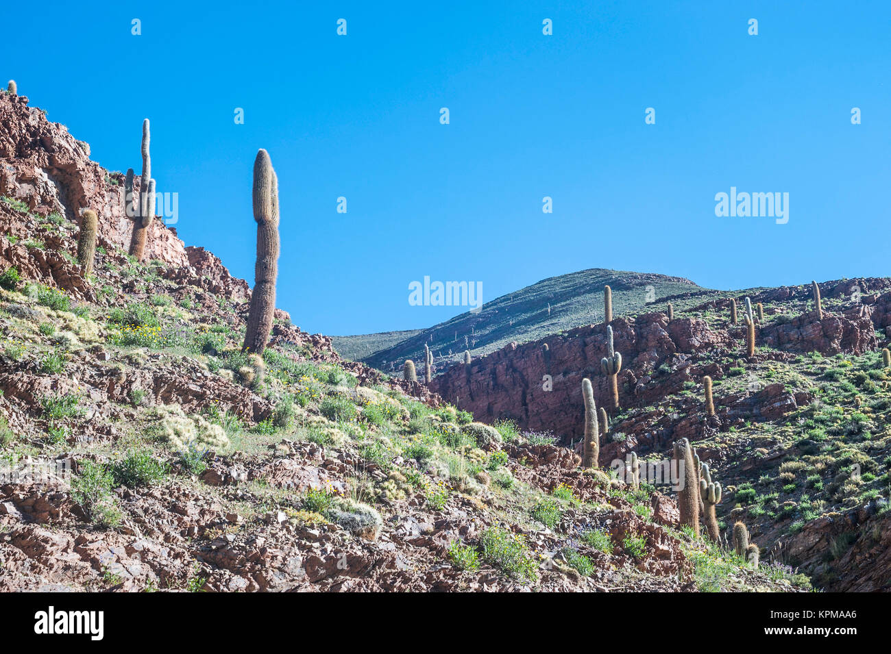 Colorful valley of Quebrada de Humahuaca, central Andes Altiplano ...