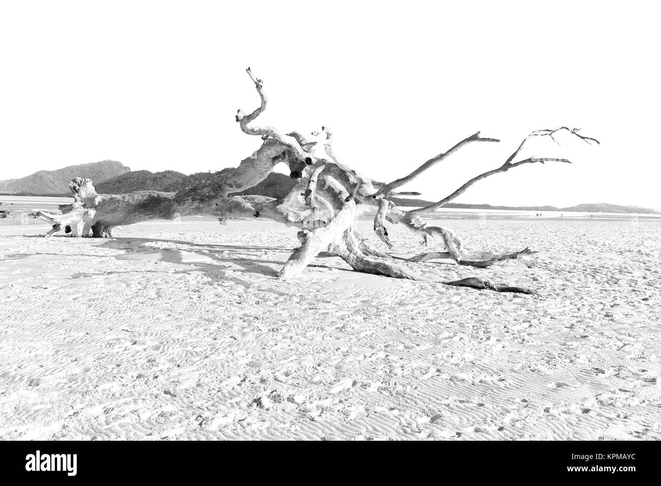 Australia queensland whitehaven beach whitsunday Black and White Stock ...