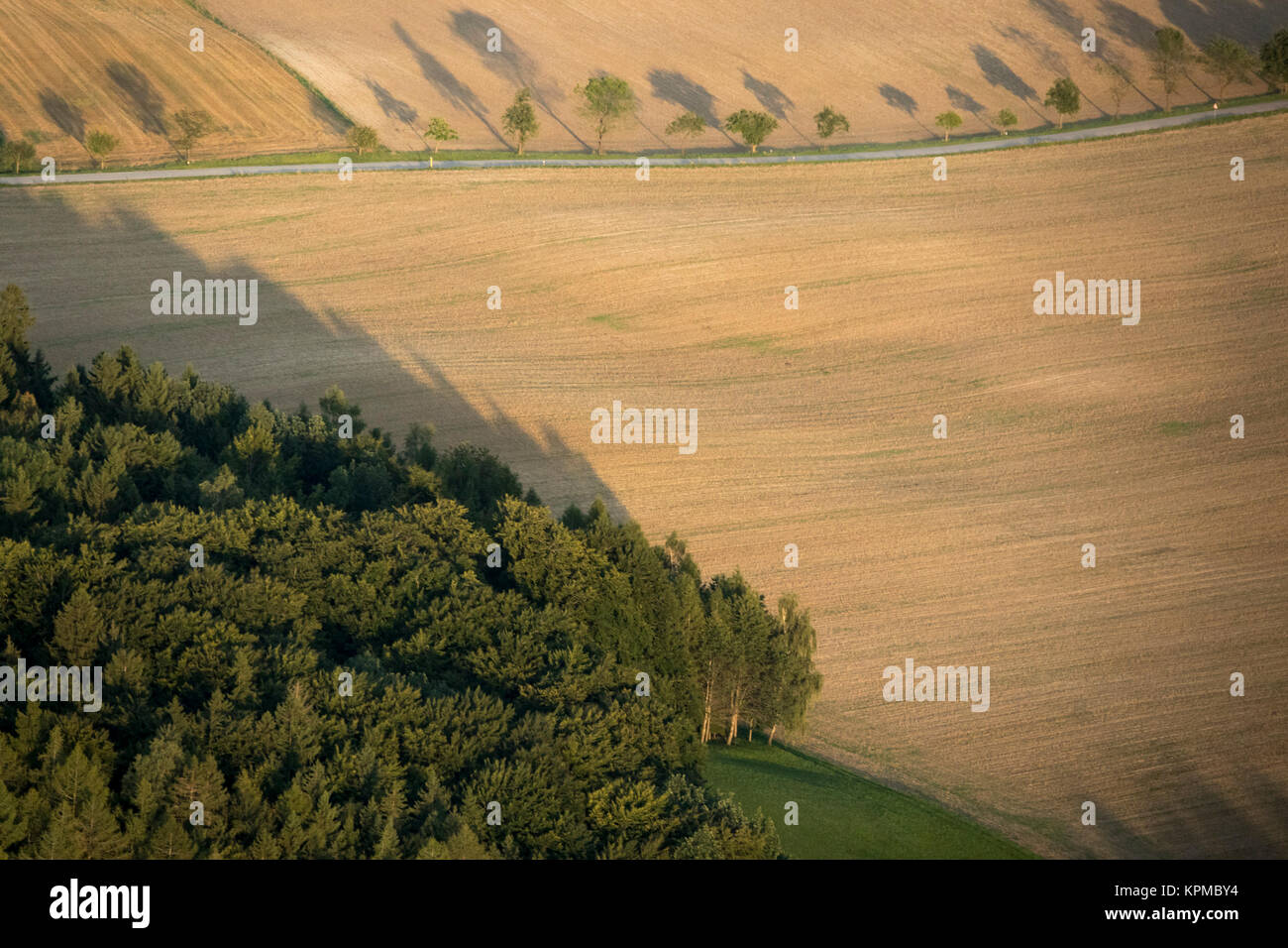 Aerial view field trees forest hi-res stock photography and images - Alamy