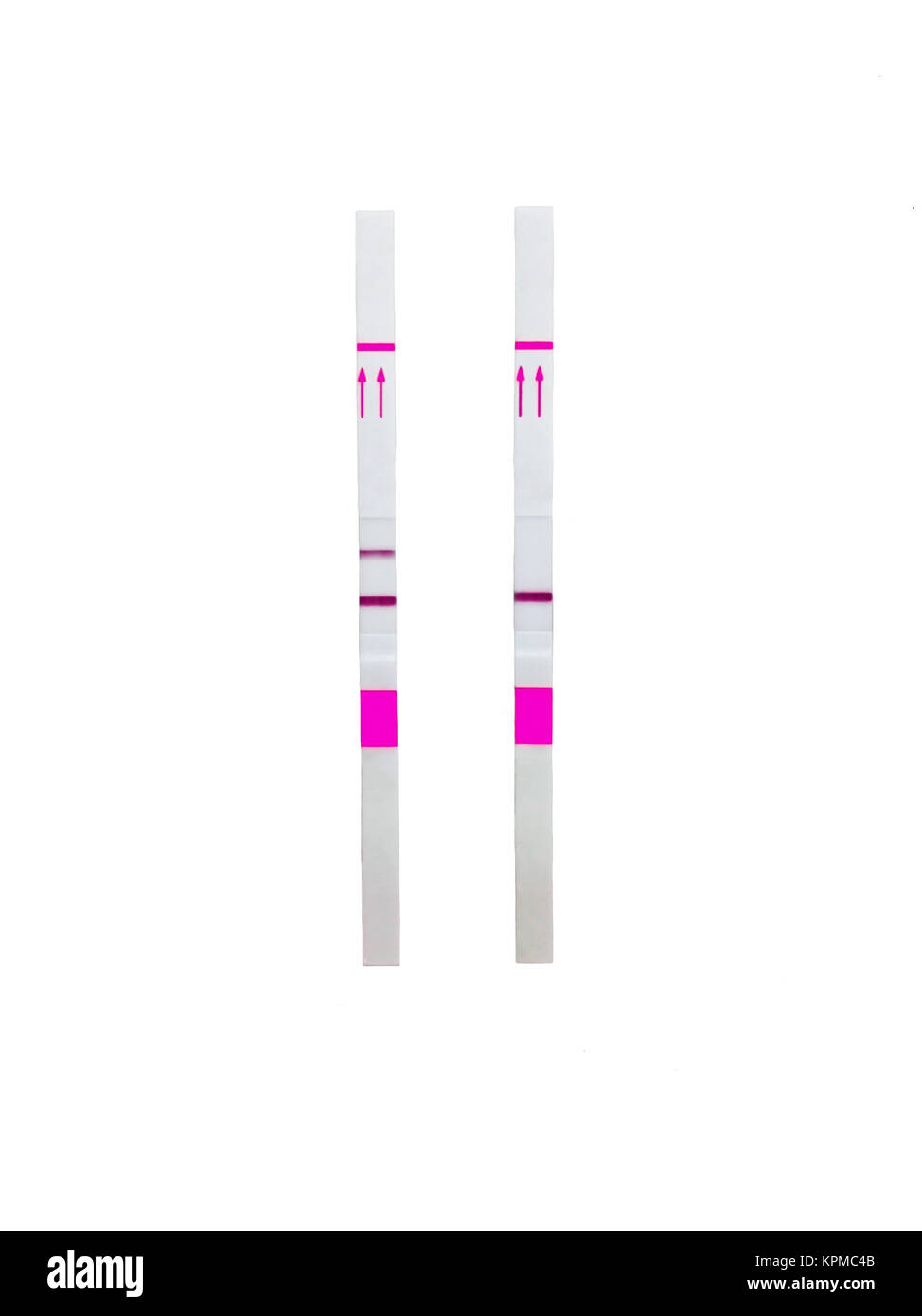 Positive and negative test cassette strips for analysis of HCG hormone ...