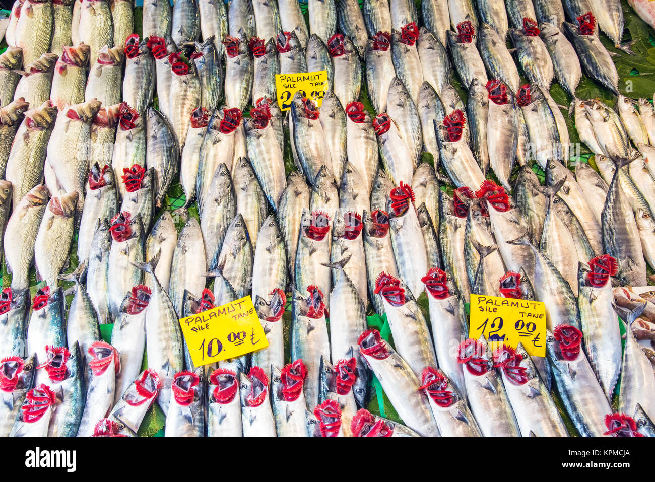many fish on a fish market in istanbul Stock Photo - Alamy