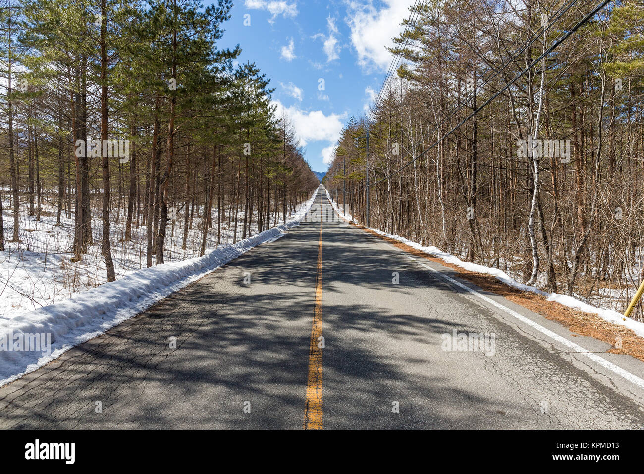 Road in winter Stock Photo - Alamy