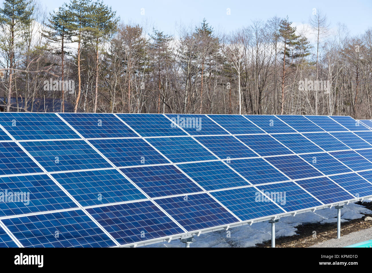 Solar panel in forest Stock Photo - Alamy