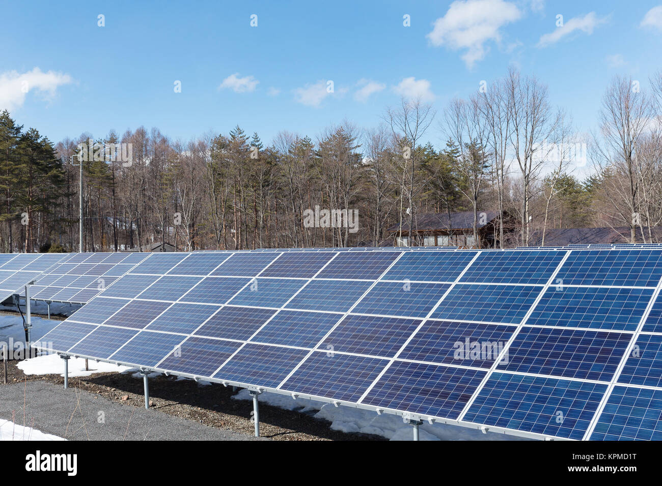 Solar panel in forest Stock Photo - Alamy