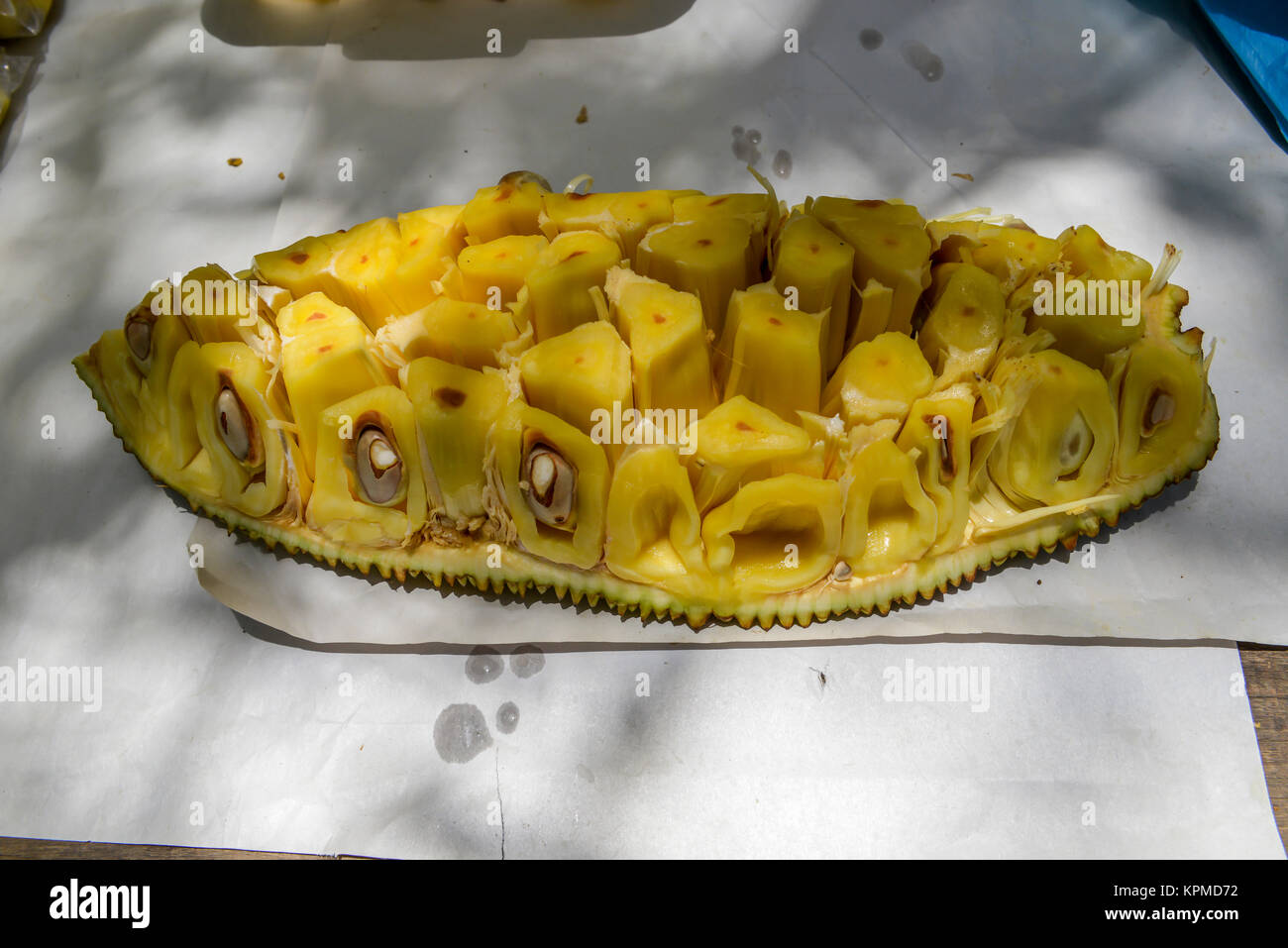 The jackfruit (Artocarpus heterophyllus), known in Brazil as "Jaca" is ...