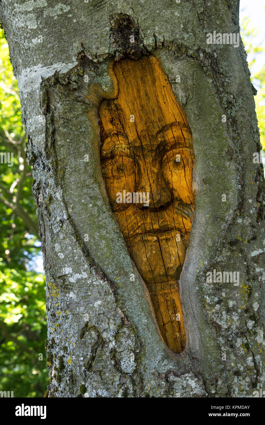Wood carved tree hi-res stock photography and images - Alamy