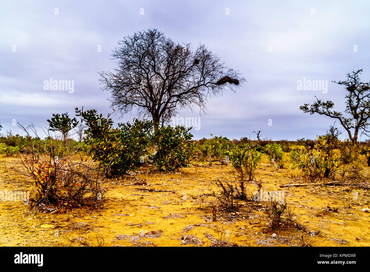 Drought stricken land hi-res stock photography and images - Alamy