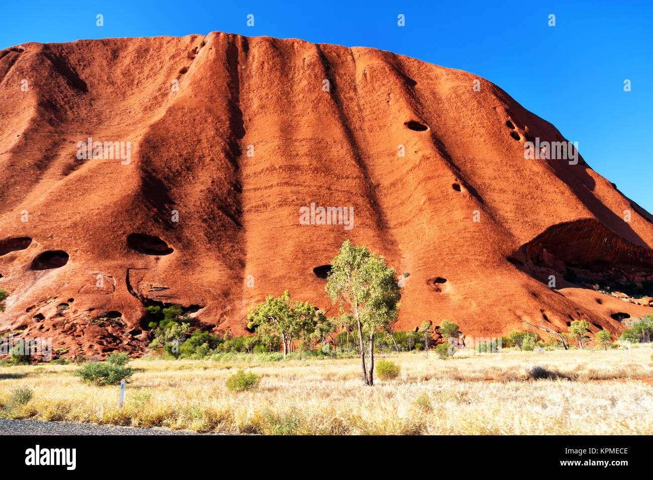 in australia the outback canyon and the tree near mountain in the ...