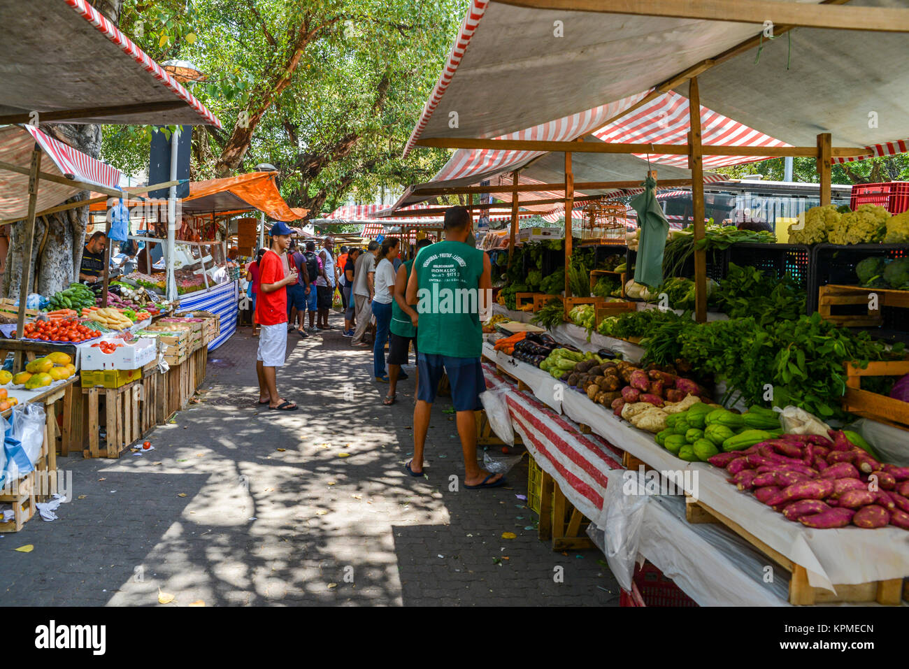 Assortment of various fruits and vegetables in a street market in Rio ...