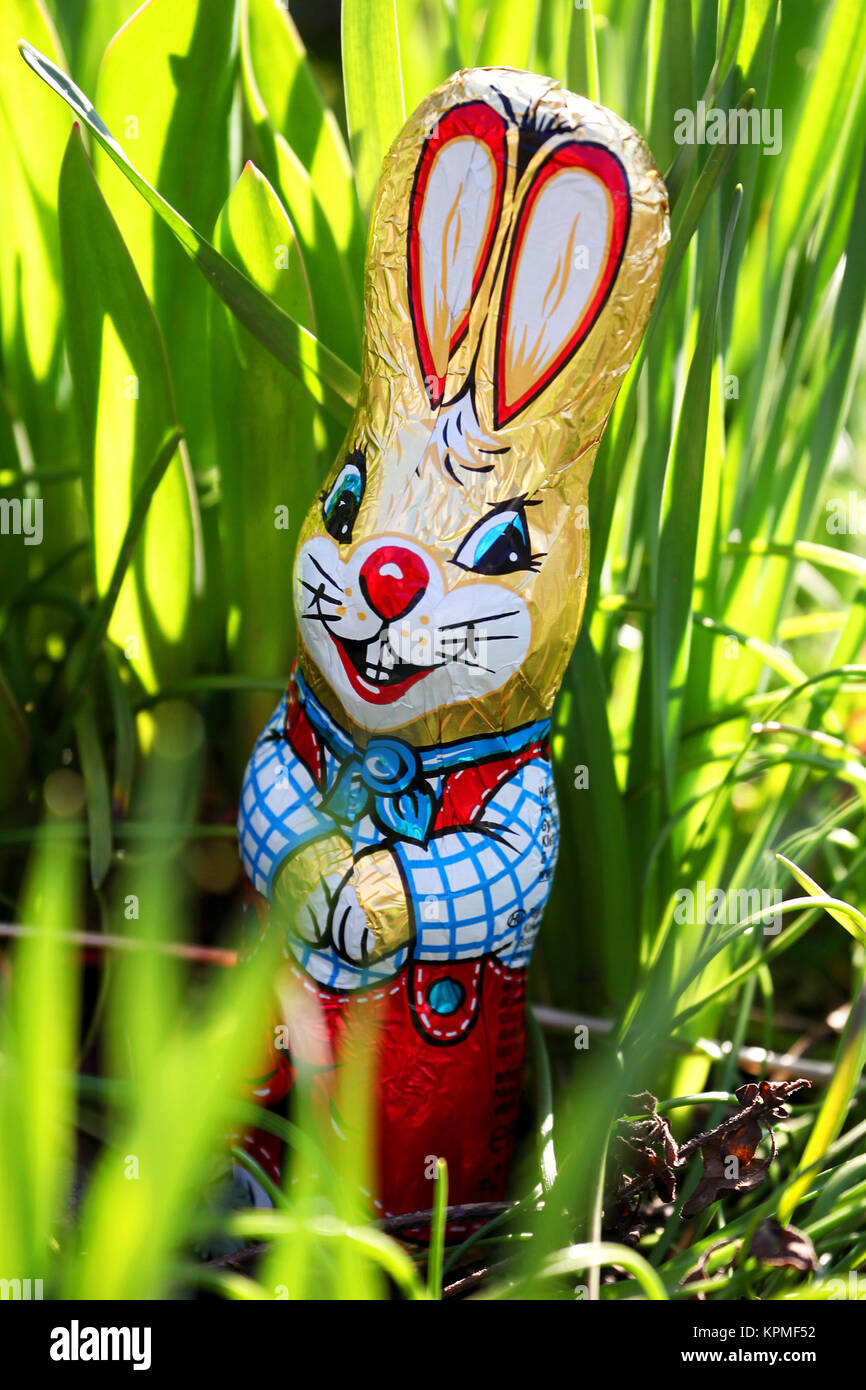 Easter bunny in the grass at Easter in the garden in an Easter nest ...