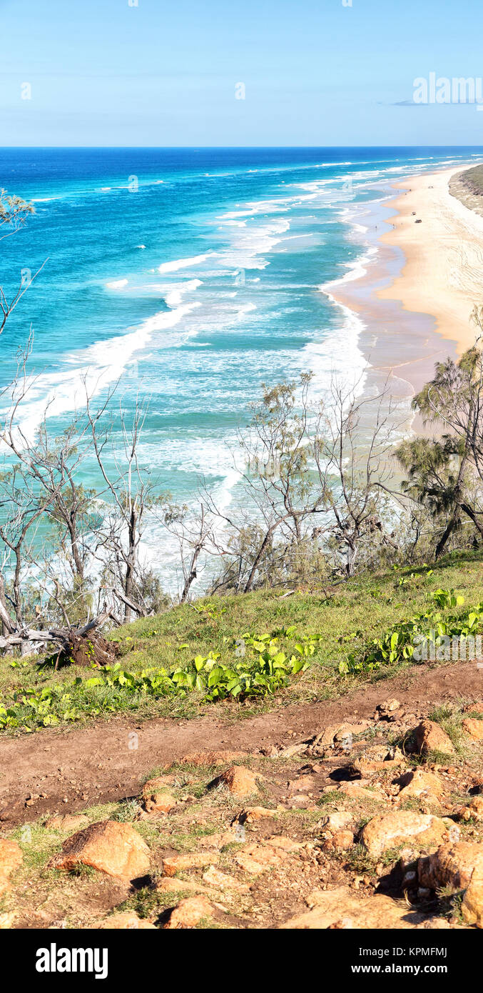 in australia fraser island the beach near the rocks in the wave of ...