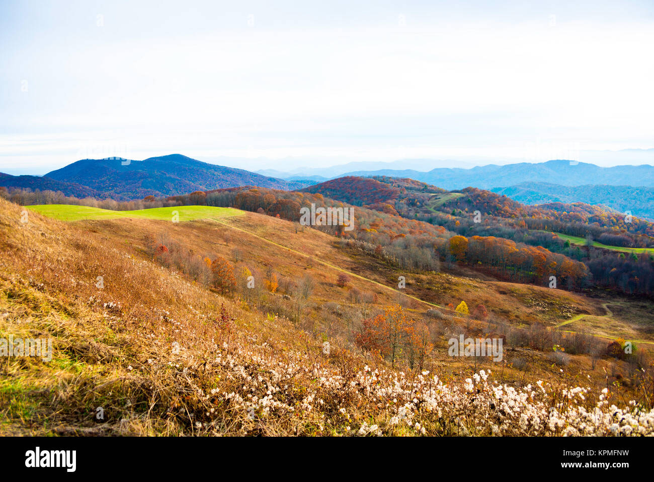 123rf hi-res stock photography and images - Alamy